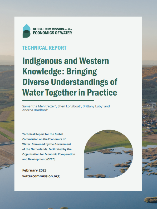 World Water Day 2023 – Accelerating Change – Morwick G360 Groundwater ...